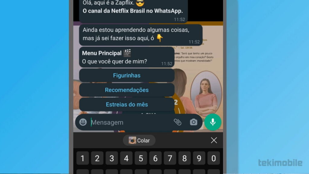 Como pedir figurinhas para Netflix pelo WhatsApp